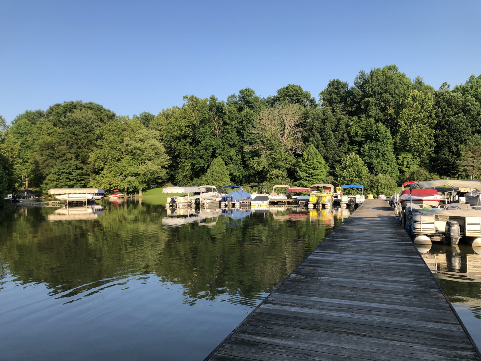 Lake Lemon Marina – Livin' the Lemon Life!